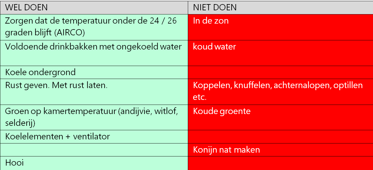 Het is warm! Tips :: Konijnen Adviesbureau