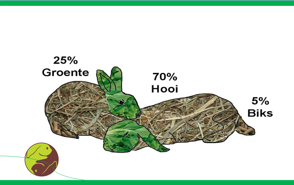 Alleen groenvoer gezond? :: Konijnen Adviesbureau